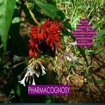 rauwolfia.ppt for pharmacognosy 5 th semester | PPTX