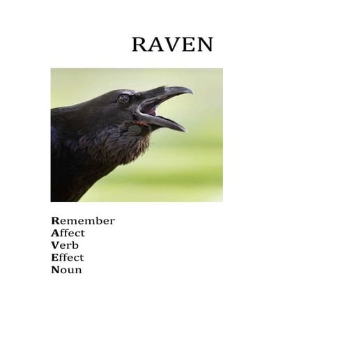 Raven | PDF