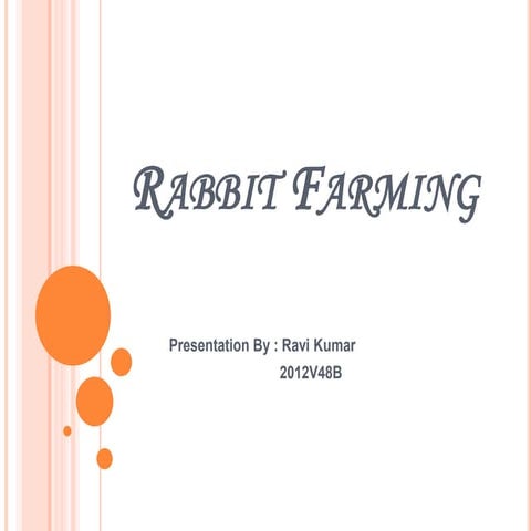 Rabbit Farming | PPTX