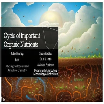 Cycle of important organic nutrients.pdf