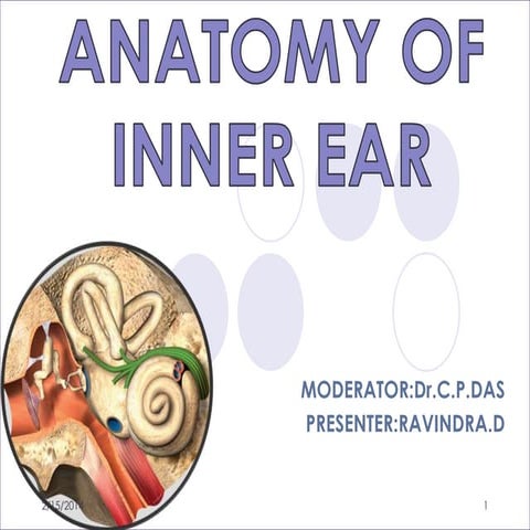 anatomy of inner ear by dr. ravindra daggupati | PPTX