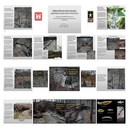 Ravine | PDF