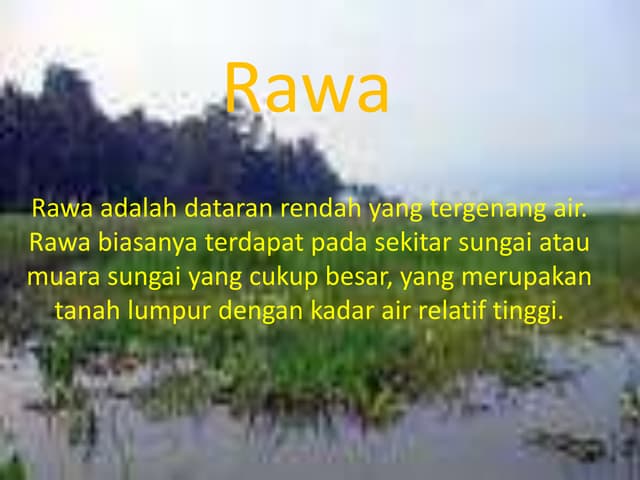 Karakteristik lahan rawa | DOCX