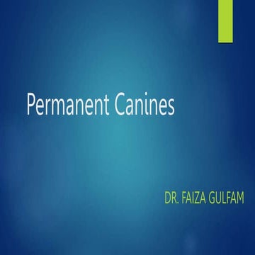 Permanent Mandibular Canine | PPTX