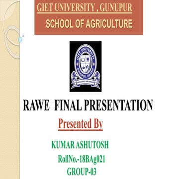 RAWE - Rural Agricultural Work Experience Report | PPTX