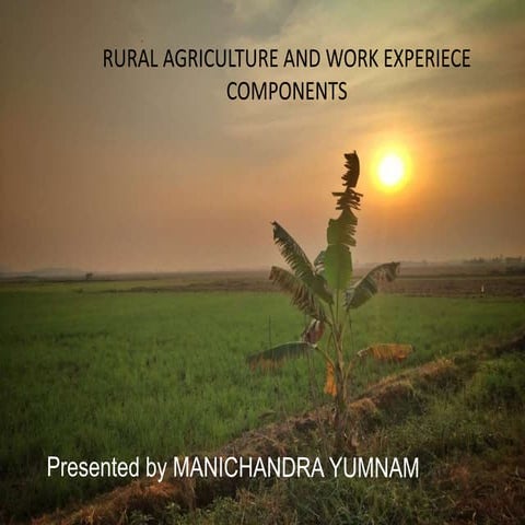 RURAL AGRICULTURE AND WORK EXPERIENCE FOR B.Sc Agriculture | PPT