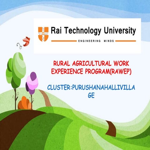 RURAL AGRICULTURAL WORK EXPERIENCE PROGRAM(RAWEP) | PPTX
