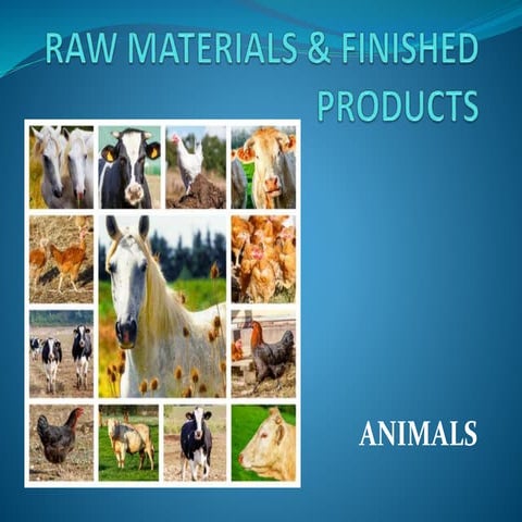 Raw materials finished products animals | PPTX