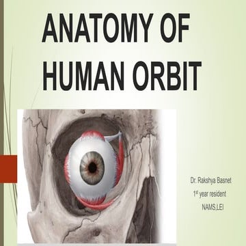 Anatomy of human orbit | PPTX