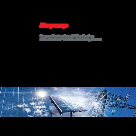 Raycap Solar brochure | PDF