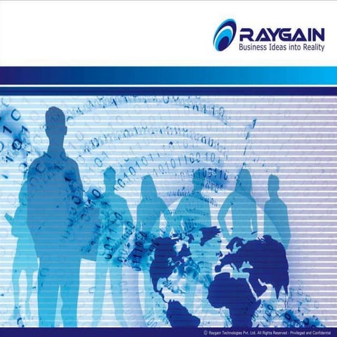 Raygain Information Technology Overview | PDF