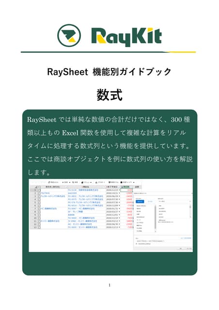 RayBarcode Product Description Documentation - 2024.6.19