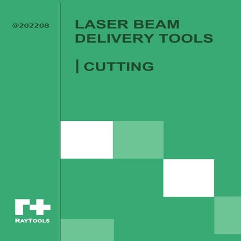 Raytools-Cutting-202209-cabezales baja.pdf