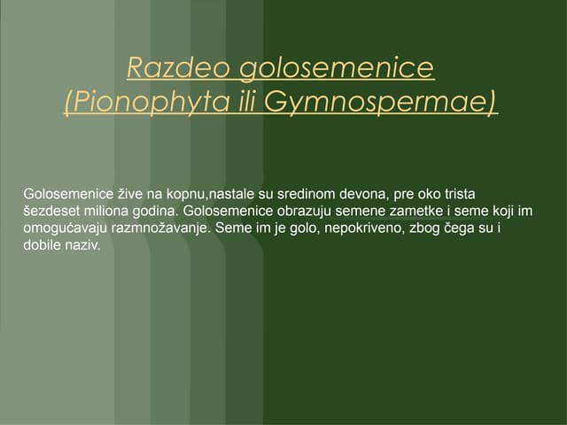 Golosemenice | PPT