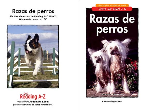A Z Nombres De Razas De Perros