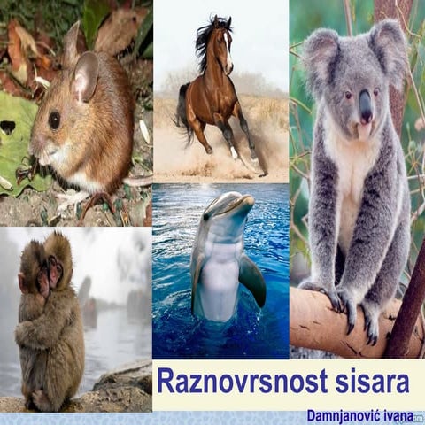 Gradja biljaka | PPTX