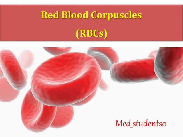 Red blood cell formation and fate of RBC | PDF