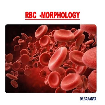 RBC.pptx | Blood Disorders | Diseases and Conditions
