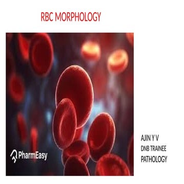 Abnormal morphology of rbc notes | PDF