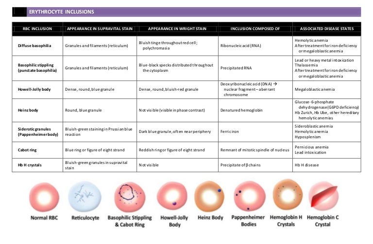 RBC Inclusions