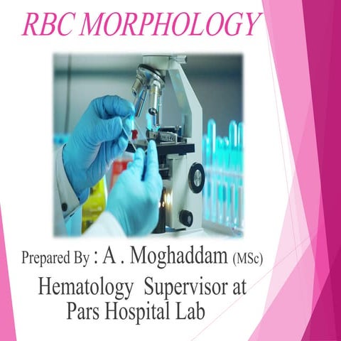 RBC Morphology.pdf