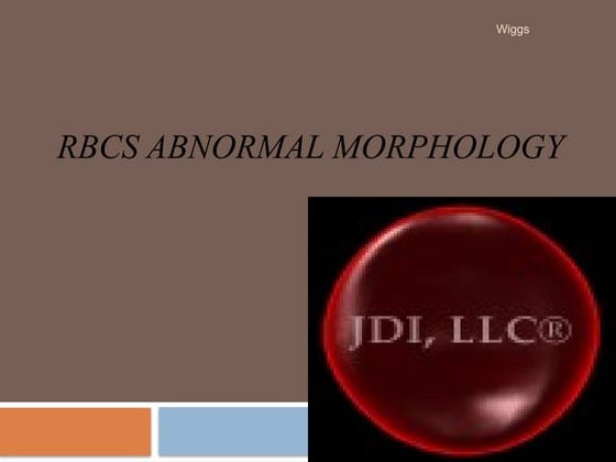 Abnormal morphology of rbc notes | PDF