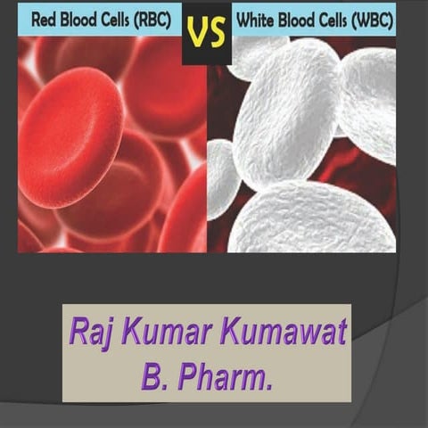 Rbc vs wbc, basic difference between RBCs & WBCs, blood cells, blood | PDF