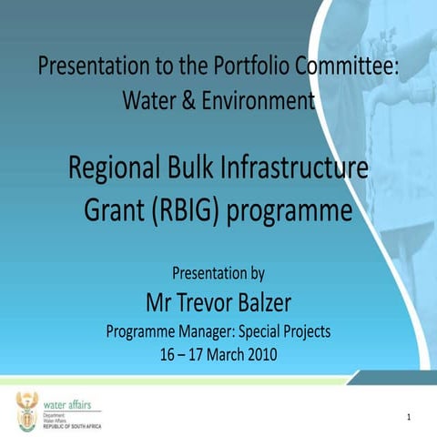 Presentation to the portfolio commitee -Rbig programme | PPT