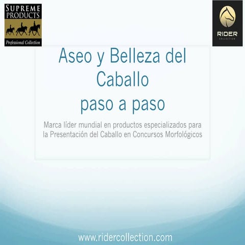 Presentación del caballo de Concurso Morfológico de Caballos paso a ...
