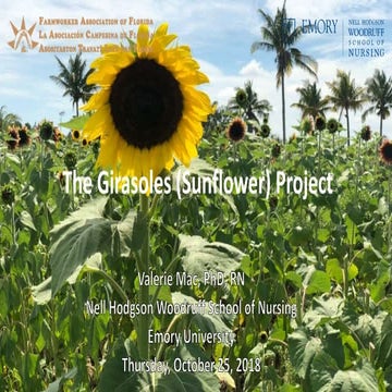 The Girasoles (Sunflower) Project | PPTX