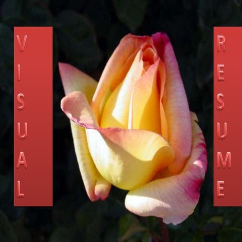 visual resume | PPT
