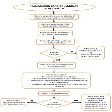 ALGORITMO RCP ADULTOS Y NIÑOS | DOCX