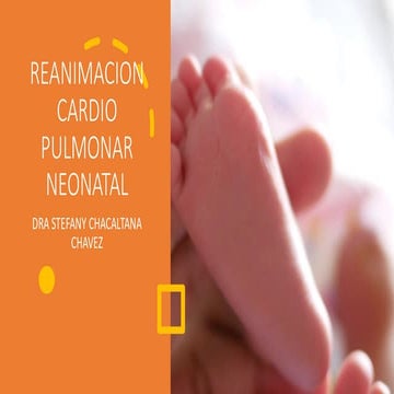 RCP NEONATAL- NEONATOLOGIA Y PEDIATRIA... | PDF
