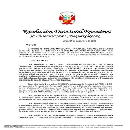 RDE n.˚ 163-2023-MINEDU-VMGI-PRONABEC.pdf
