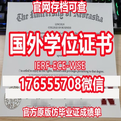 USYD毕业证 | PDF