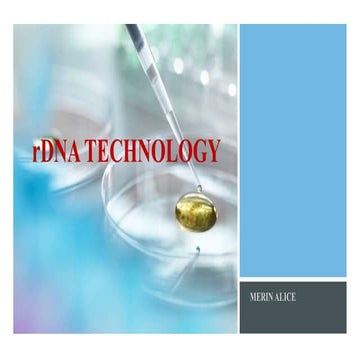 rDna technology | PPT