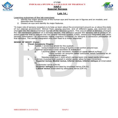 RDP_Special senses-2021 | PDF