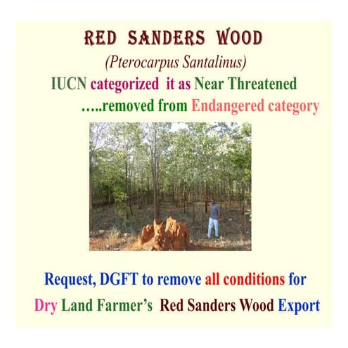 Rosewood NDF RP Ganesan views dec 2019 | PDF