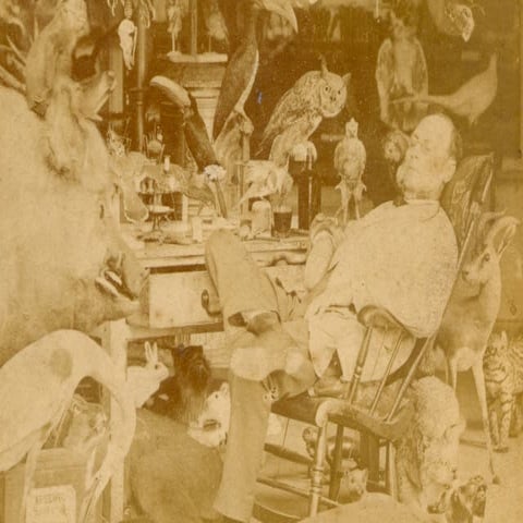 Re modelling museum collections for digital content phm2008 | PPT