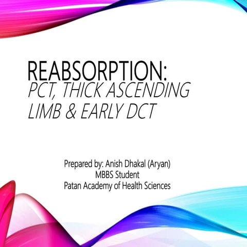 Reabsorption in Loop of Henle | PPTX