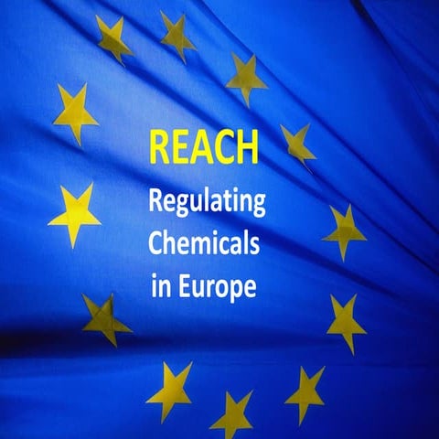 Reach - Regulating chemicals in Europe | PDF