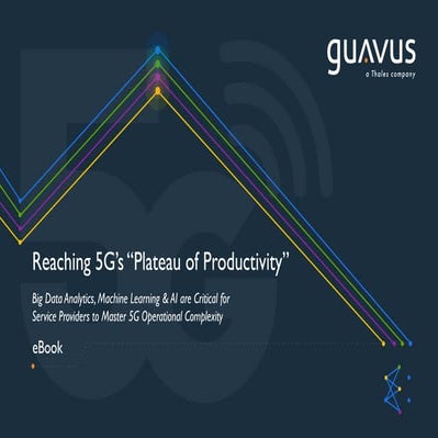 Reaching_5G_Plateau_of_Productivity_ Guavus_eBook_2019_.pdf
