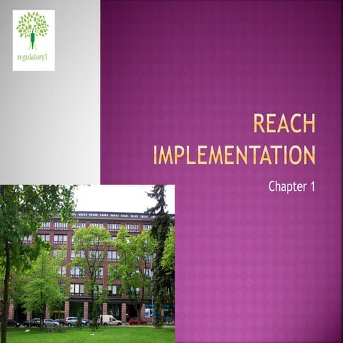 REACH | PPT