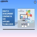 React-JS-Development-Company-in-UAE.pptx