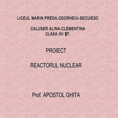 Reactorul nuclear | PPT