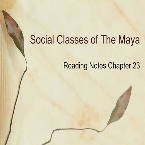Reading Notes Chapter 23 | PPT