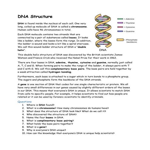 Reading-Task-DNA-Structure Key stage 3 .docx