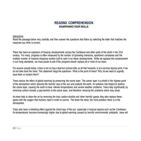Reading Comprehension | DOCX