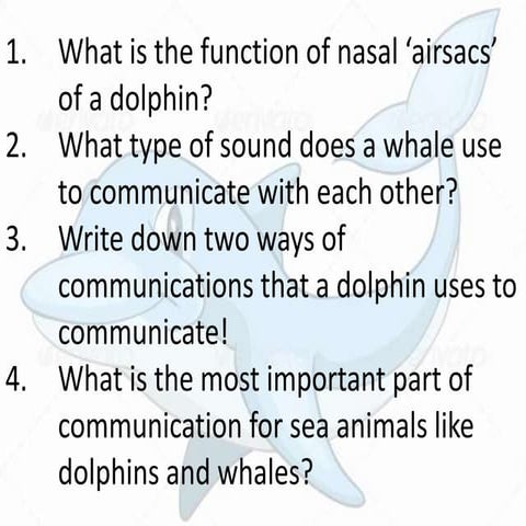 reading comprehension dolphin and whale.pptx