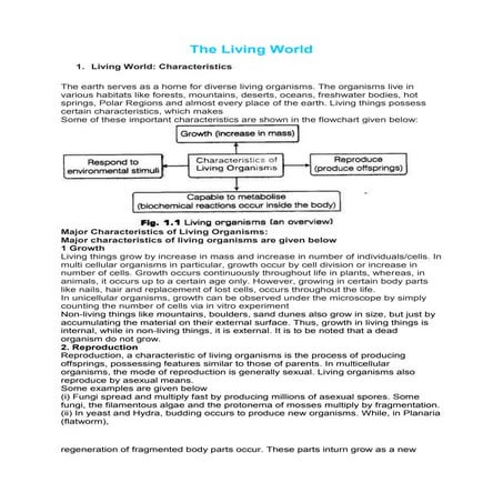 The living world Class 11 NCERT | PPTX